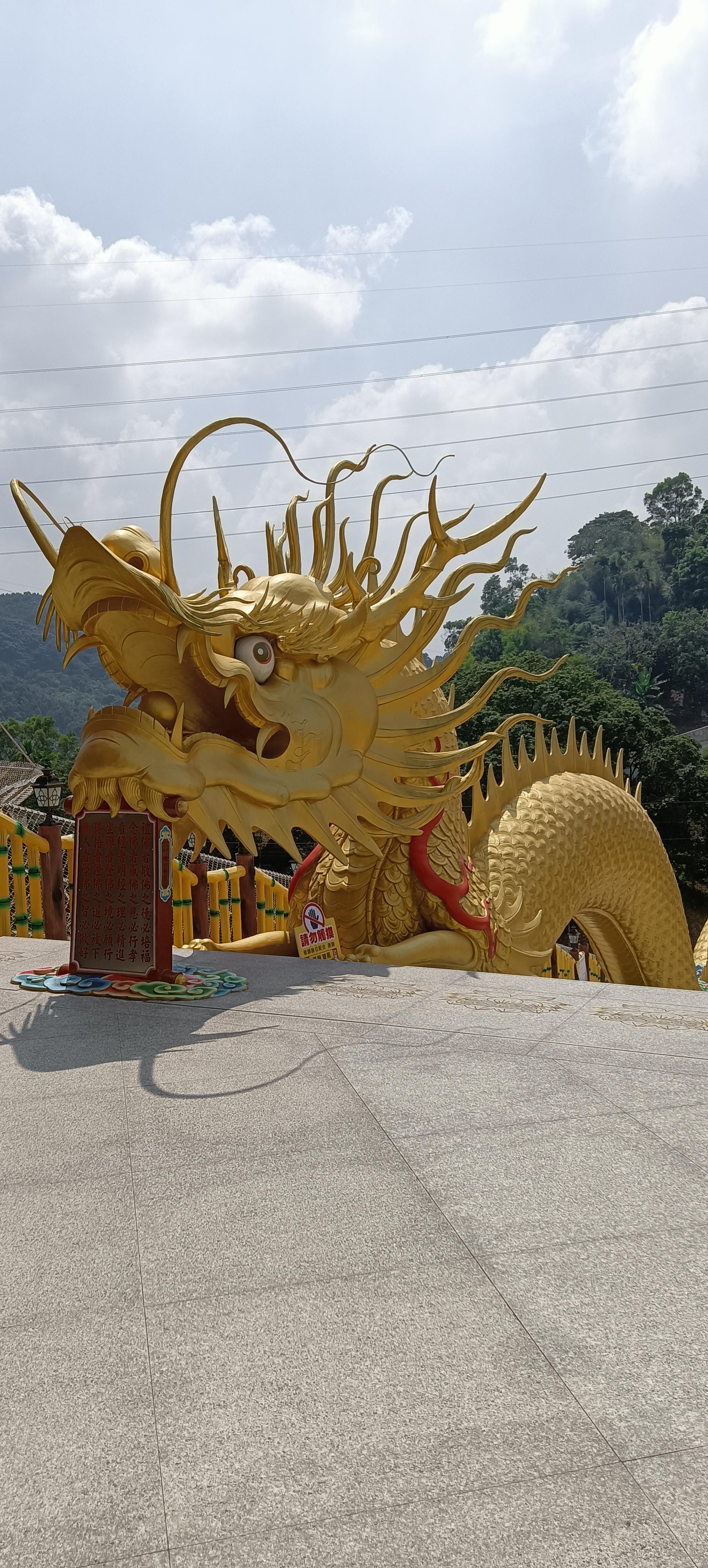 There is a golden dragon in this temple | Scrolller