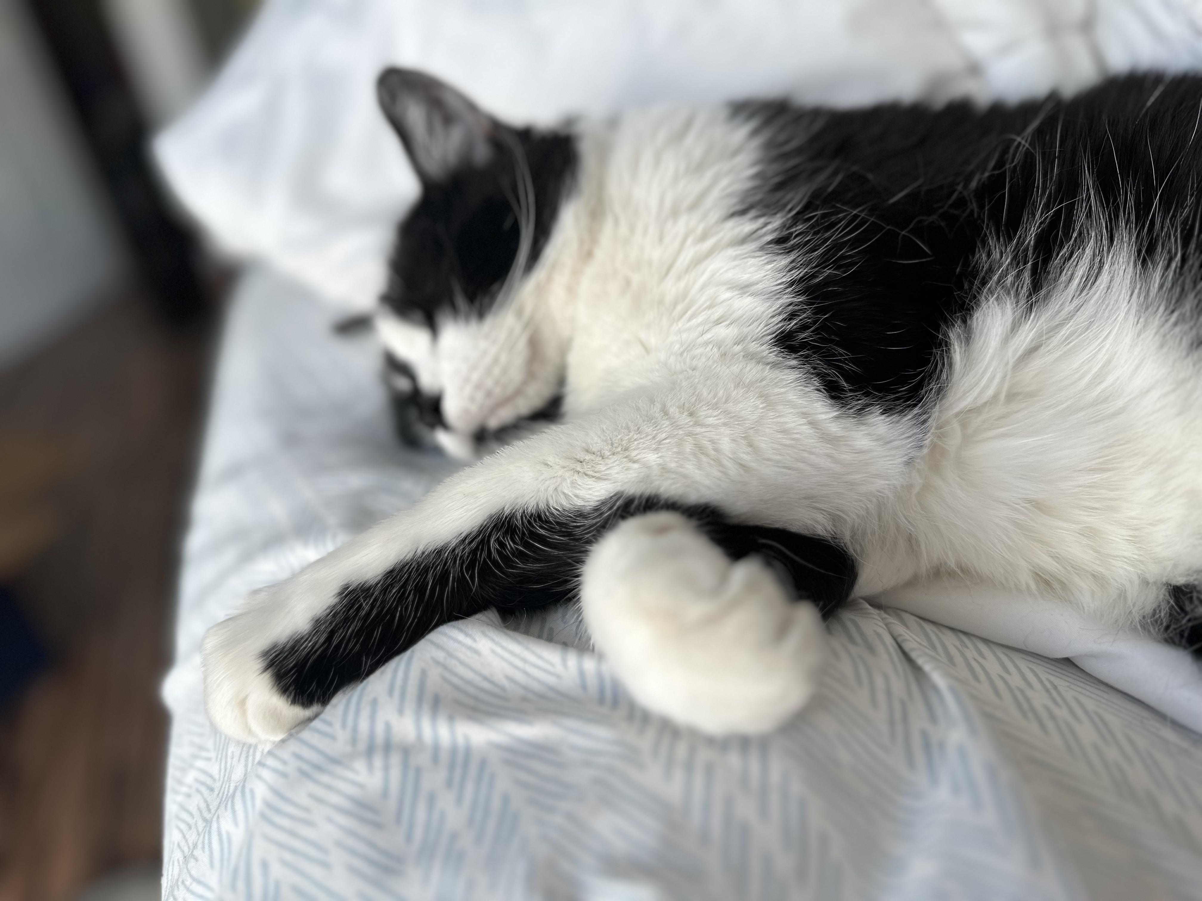 Cute Vortex | Scrolller