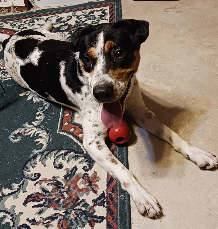 Meet Luna. | Scrolller