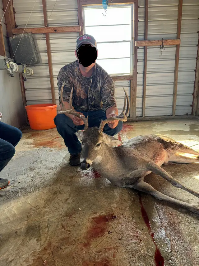 Tx Hill Country Buck | Scrolller