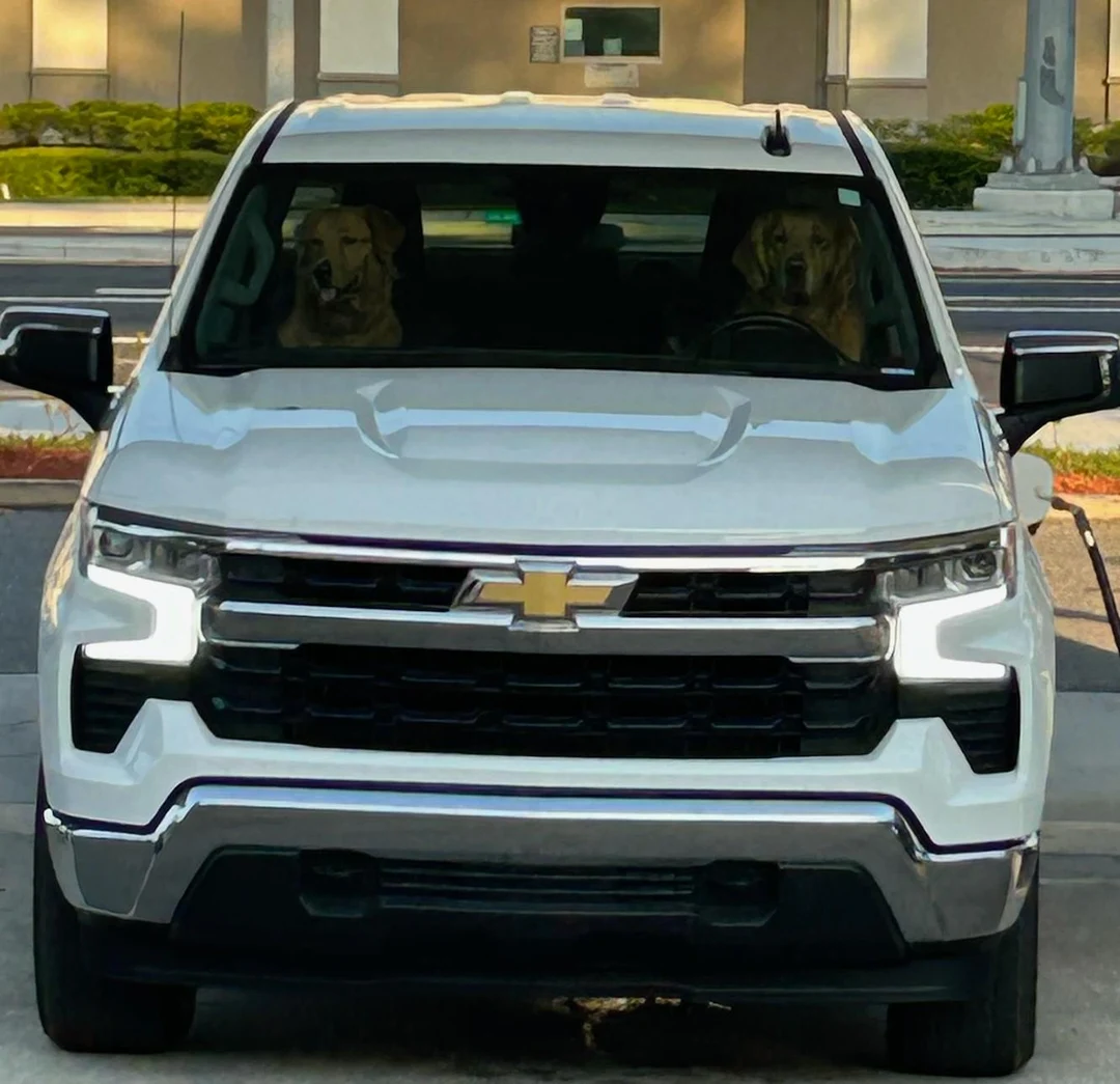 My Uber driver | Scrolller