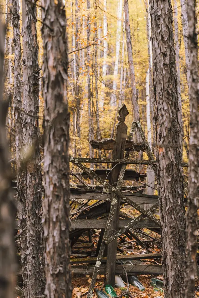 Deep in the birch forest, an abandoned Orthodox cemetery.[OC]2023.9 | Scrolller