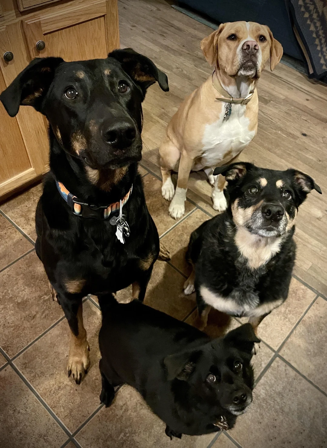 The crew on their best behavior. | Scrolller