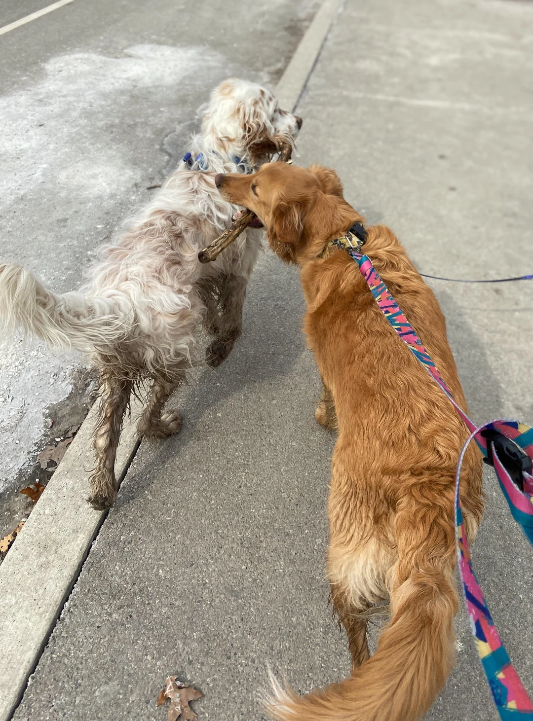 Sharing is caring | Scrolller