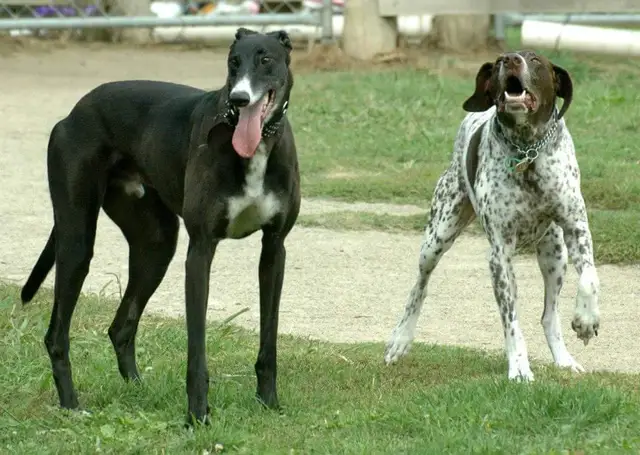 Sharing to keep their memories alive | Scrolller