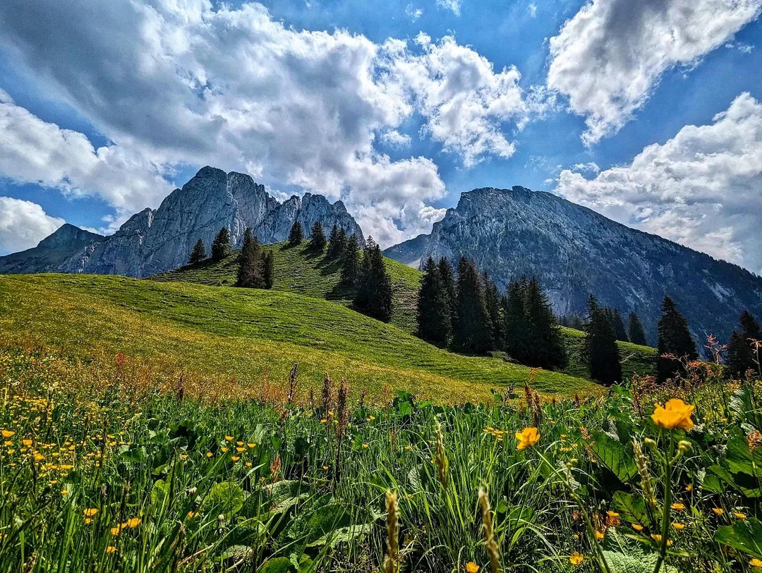 Alpine landscape in front of the Bockmattli [1440x1083] [OC] | Scrolller