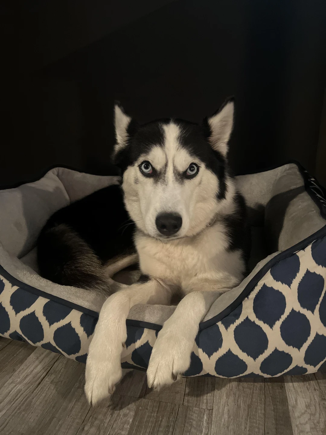 Any brush recommendations? | Scrolller