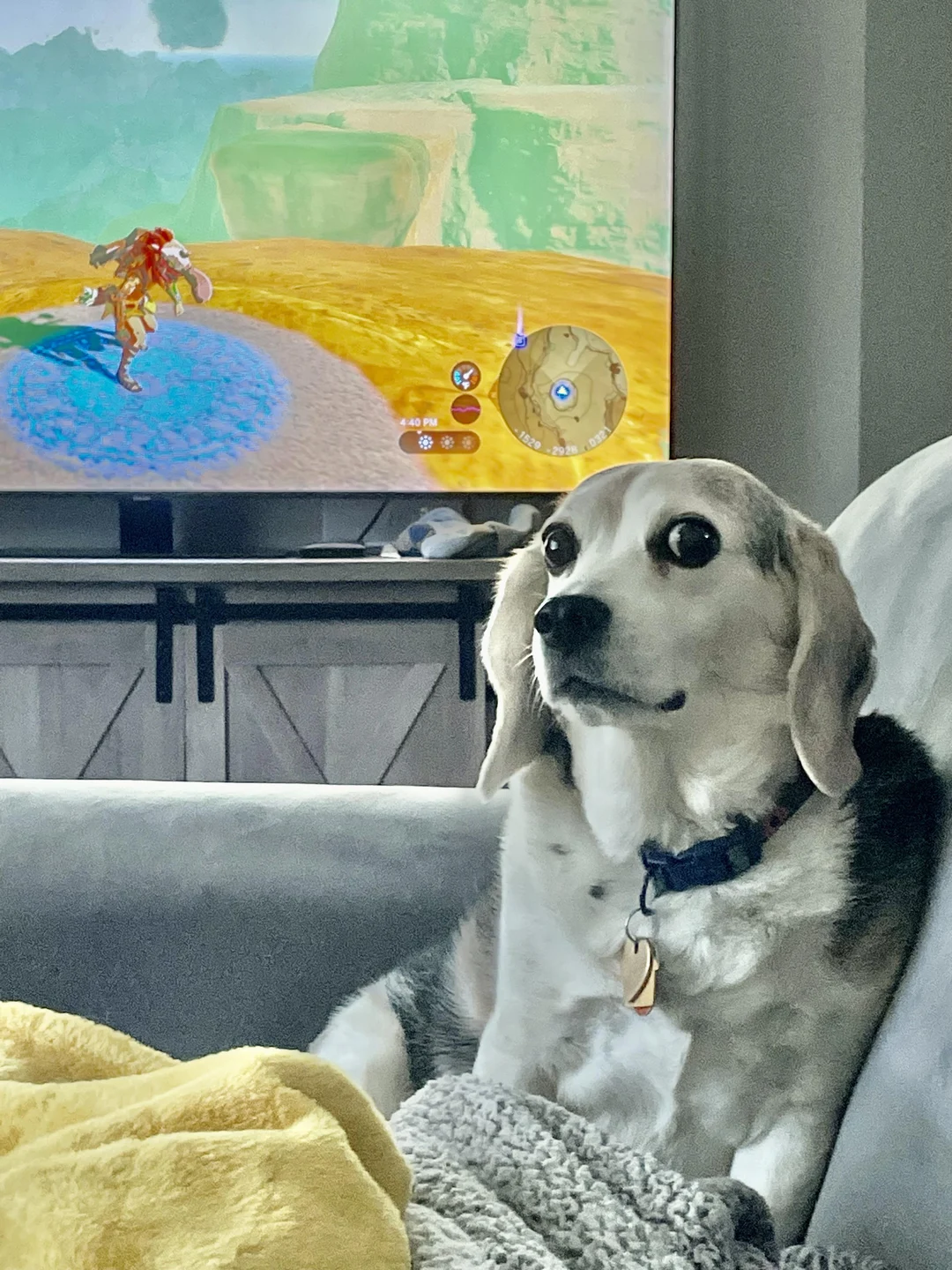 I don’t know why she’s so disappointed in me | Scrolller