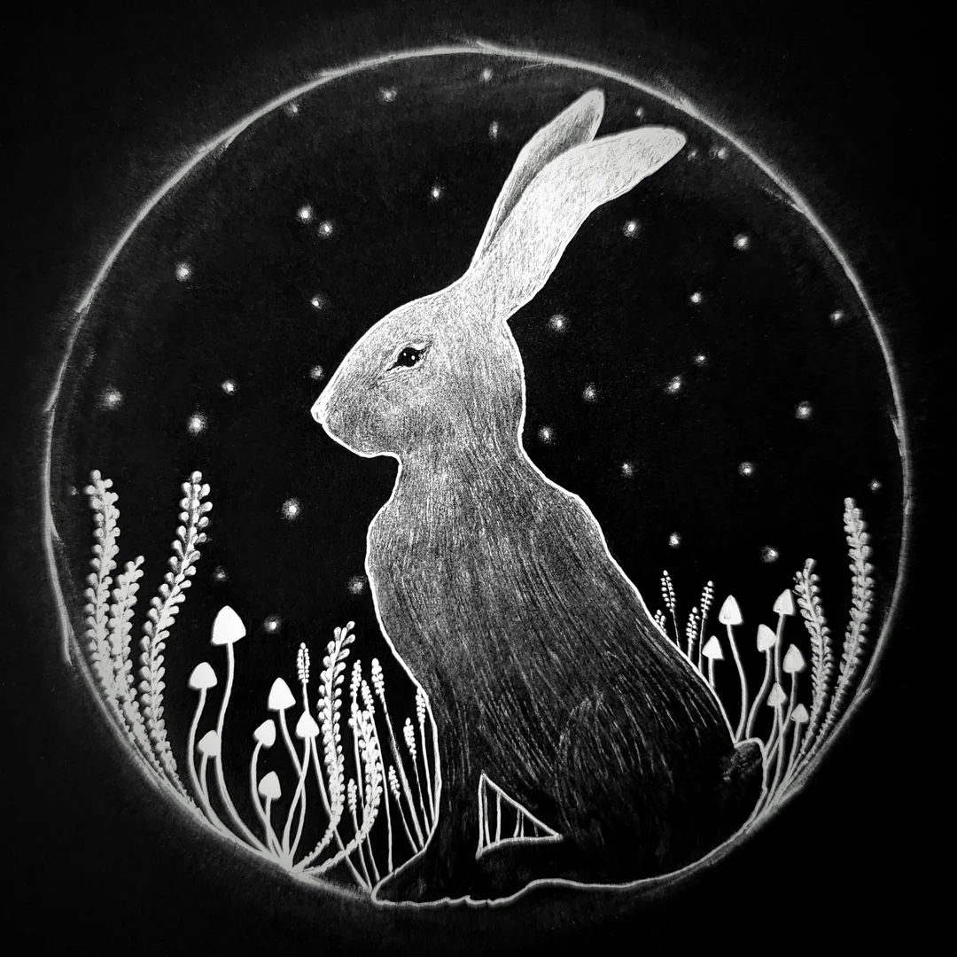 White Rabbit - white gel pen on black paper | Scrolller