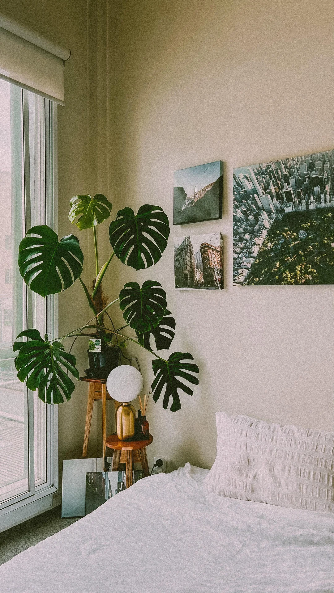 Another cozy corner with my monstera | Scrolller