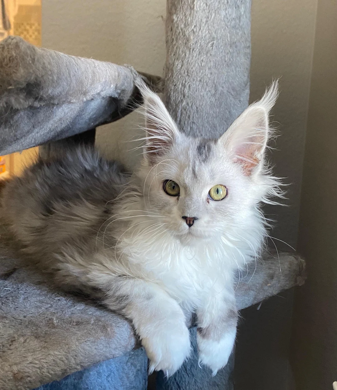 McKinley turned 14 weeks | Scrolller