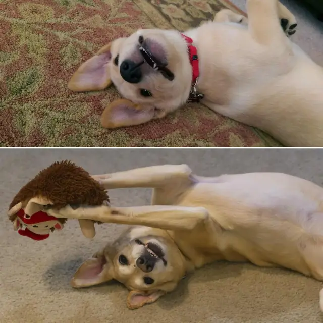 Nope, she hasn't changed... | Scrolller