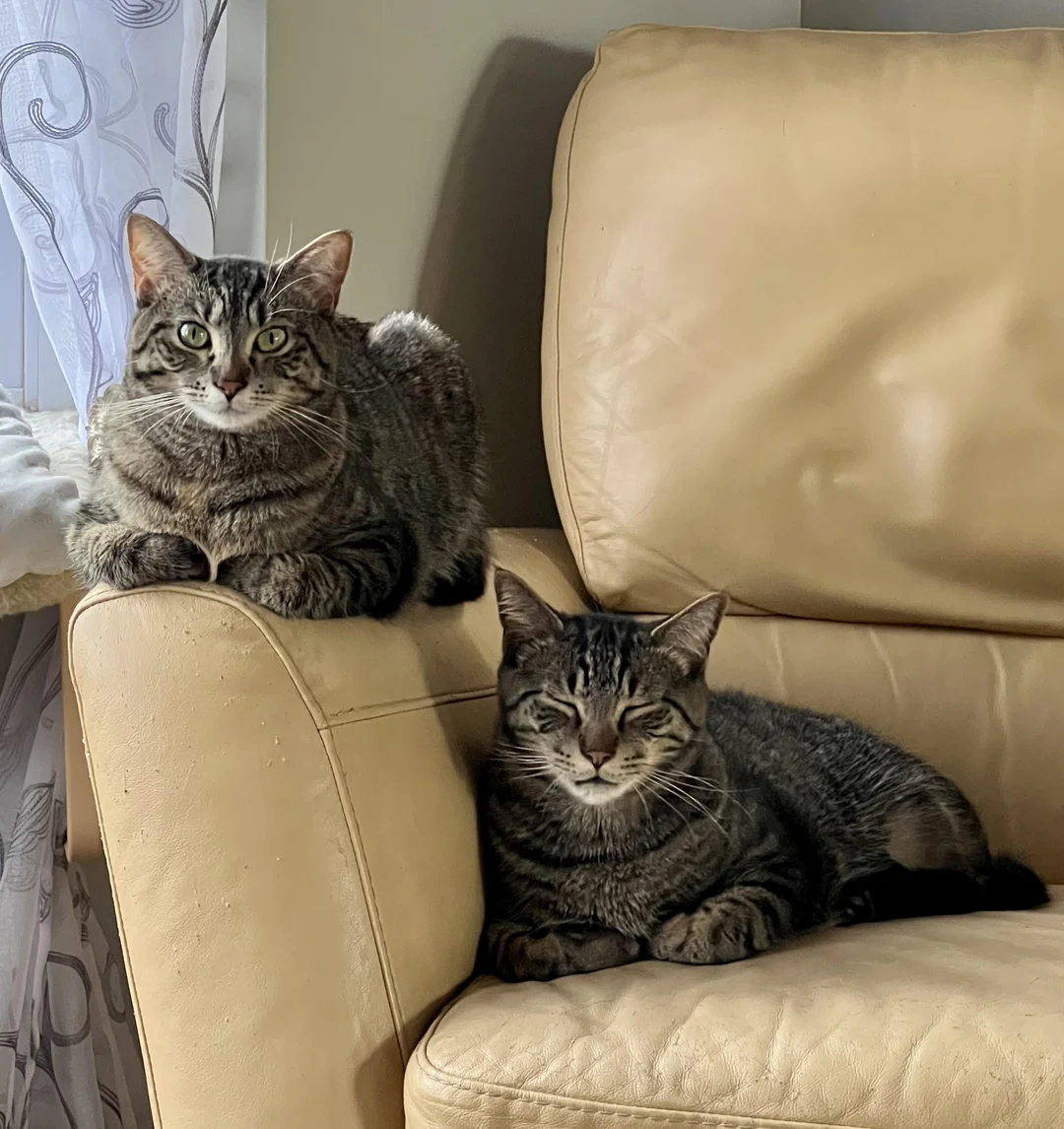 Two for One Loaves | Scrolller