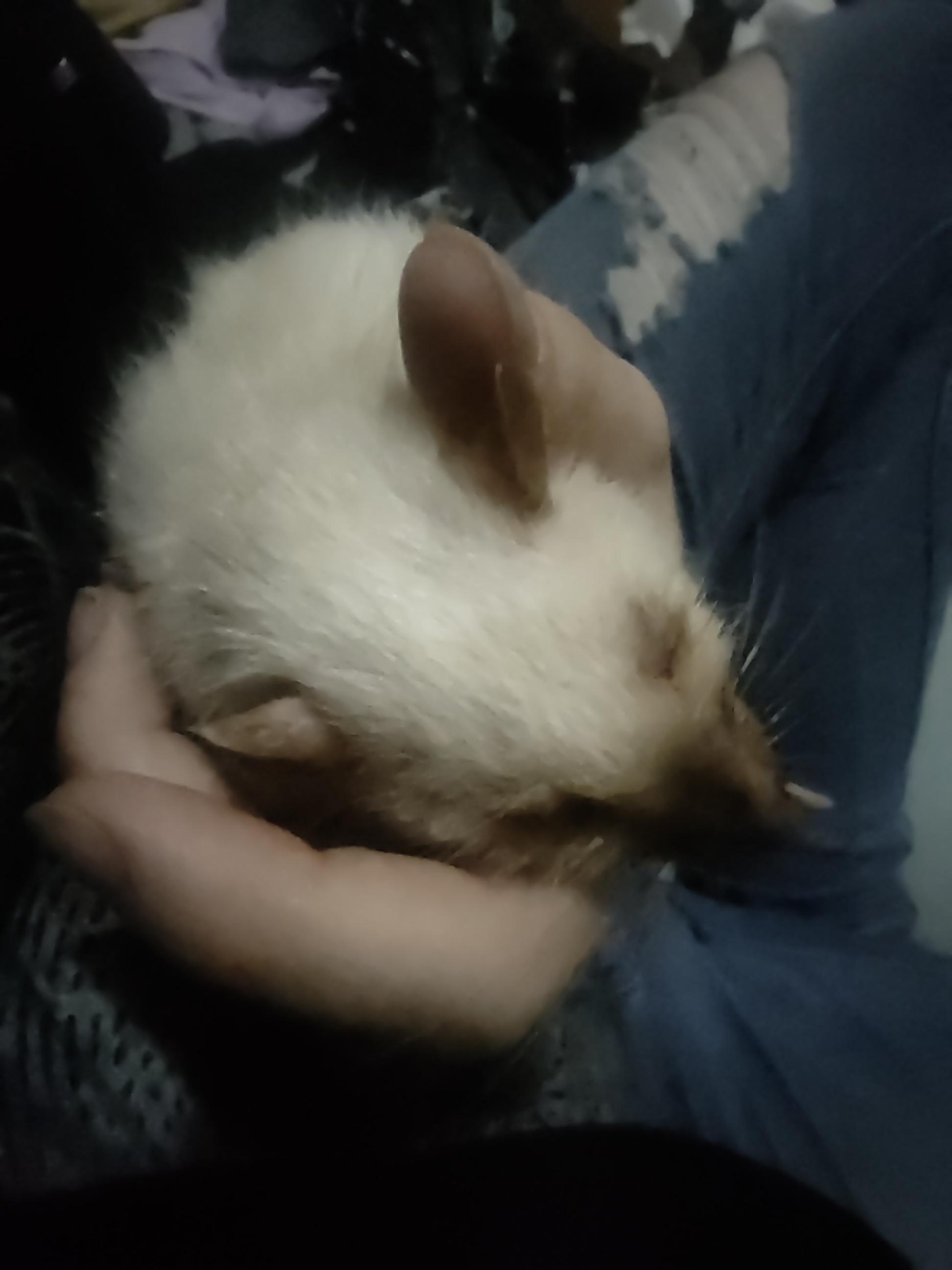 My little man is dying | Scrolller