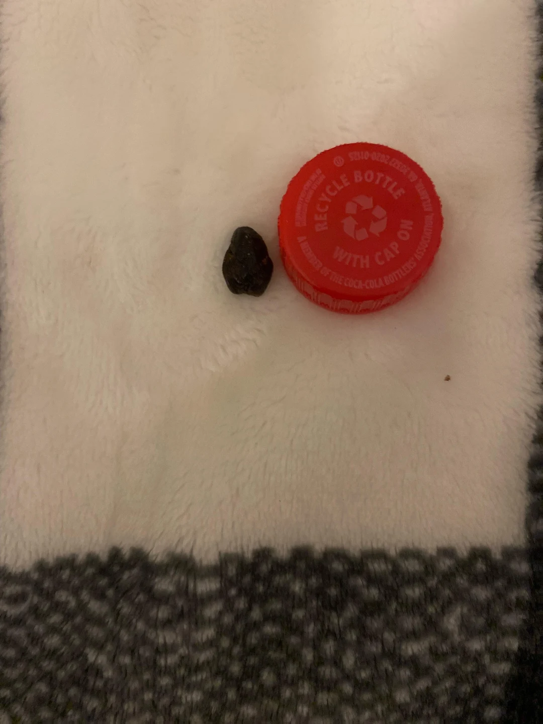 This ain’t no G is it. Next to the coke cap…..no scale. | Scrolller