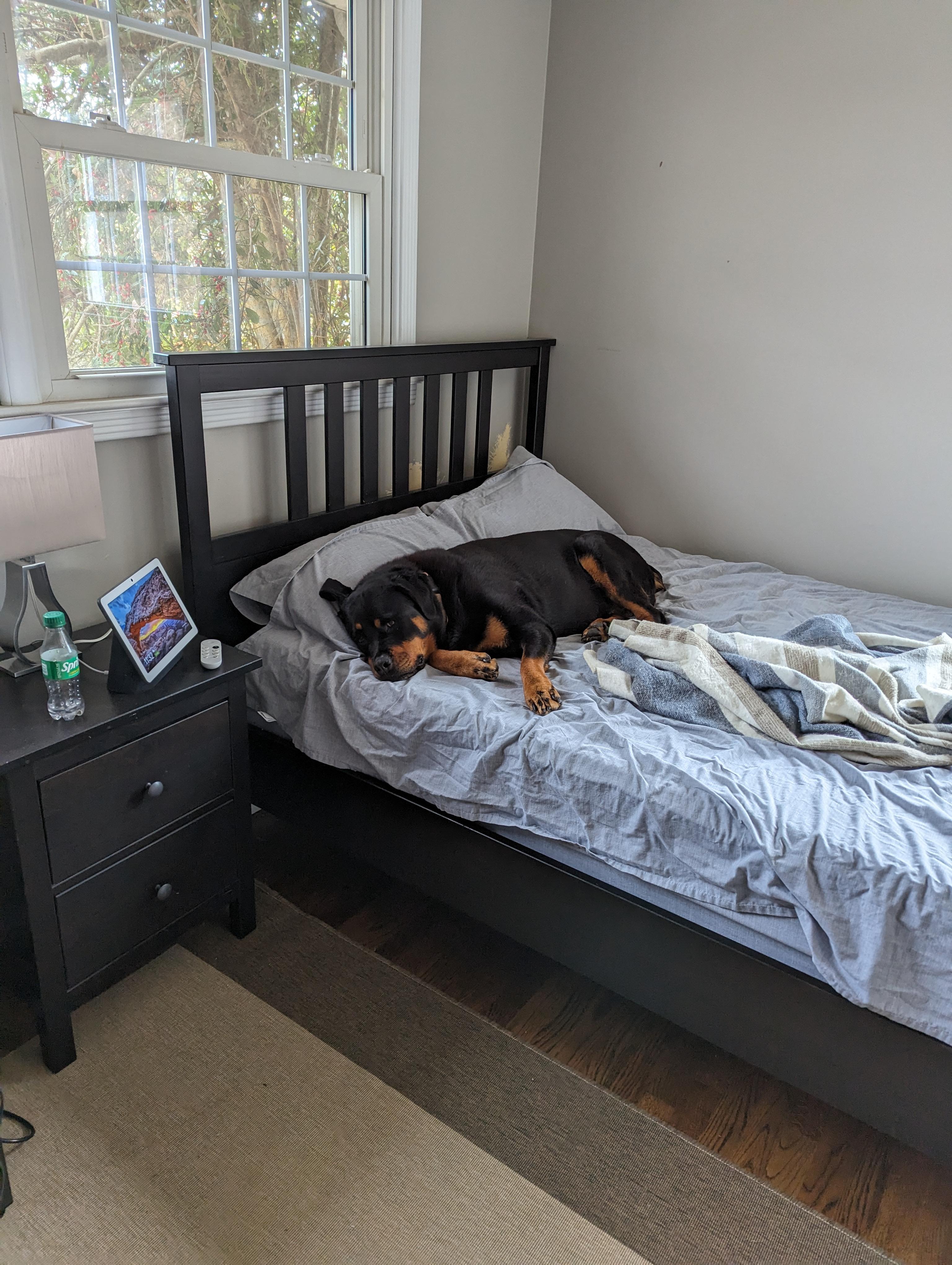 someone is refusing to get the day started | Scrolller