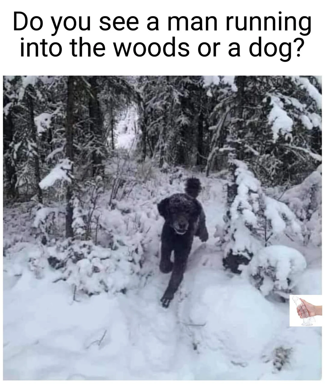 Global warming? | Scrolller