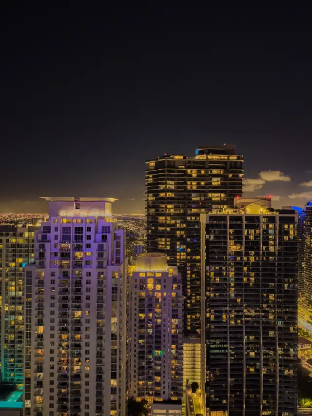 Miami nights (edited) | Scrolller