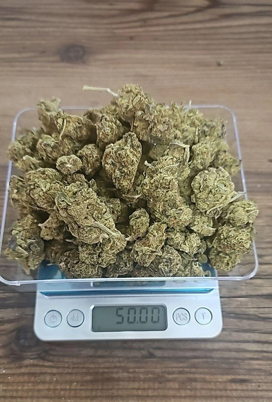 Free samples for every new customer | Scrolller