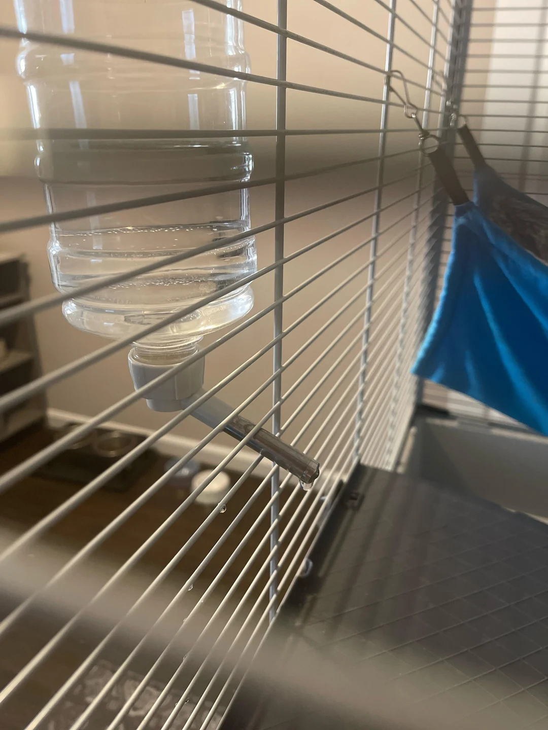 Water Bottle? | Scrolller