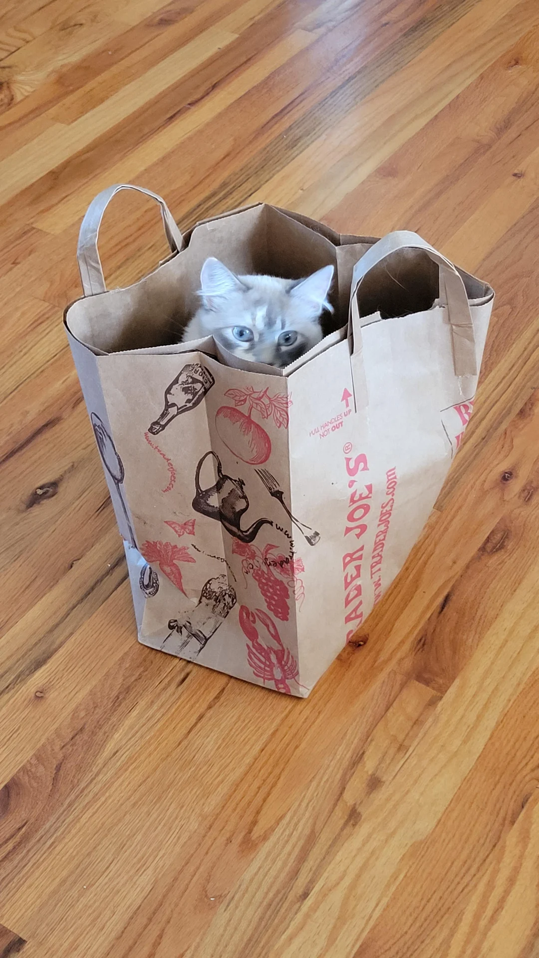The Trader Joe trap | Scrolller
