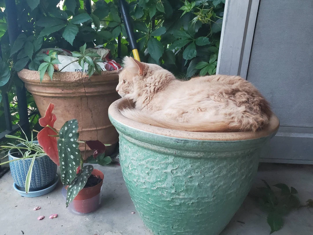 This is Toby | Scrolller