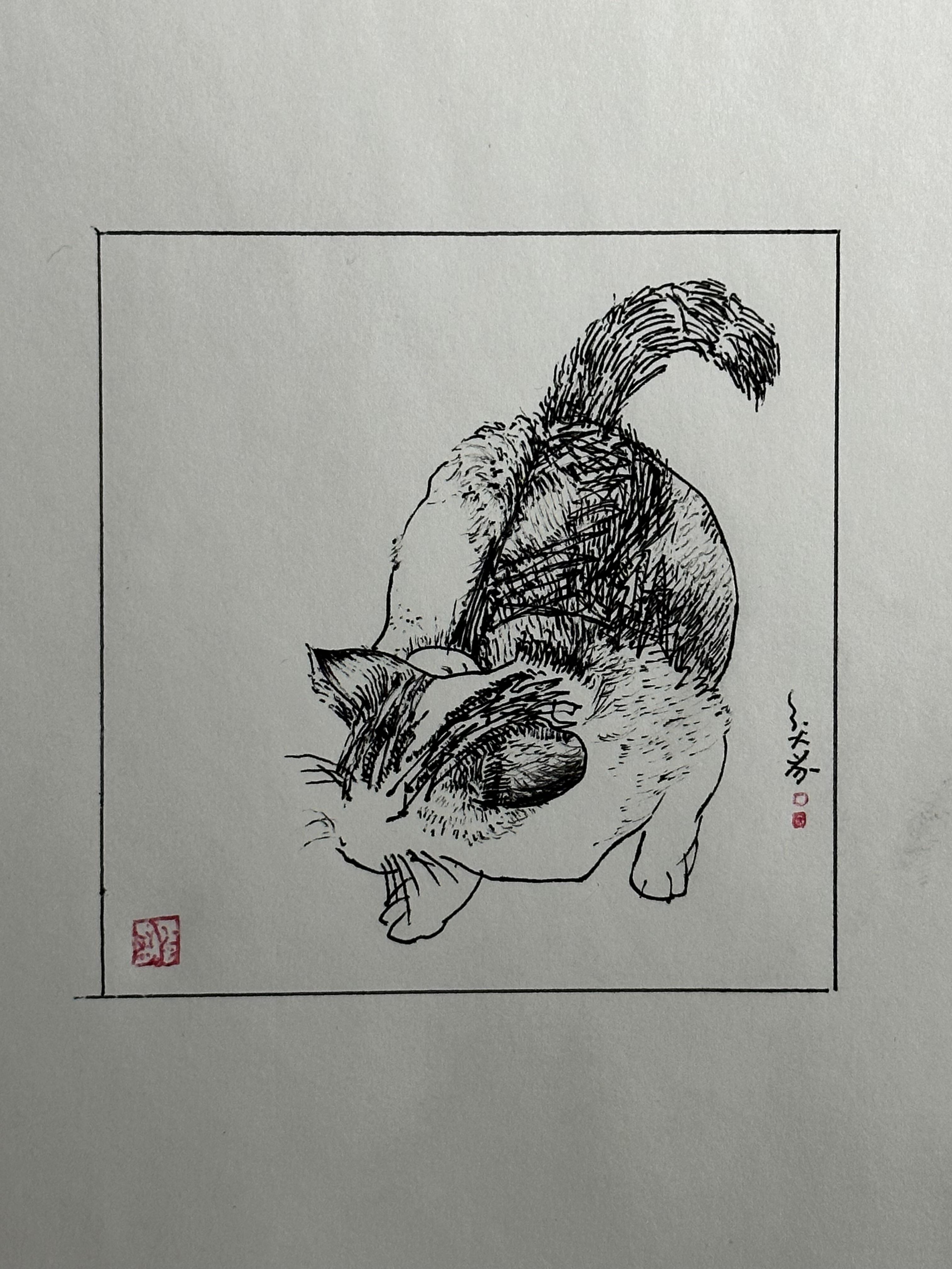 Cat,Tinytiny,Ink,2024 | Scrolller