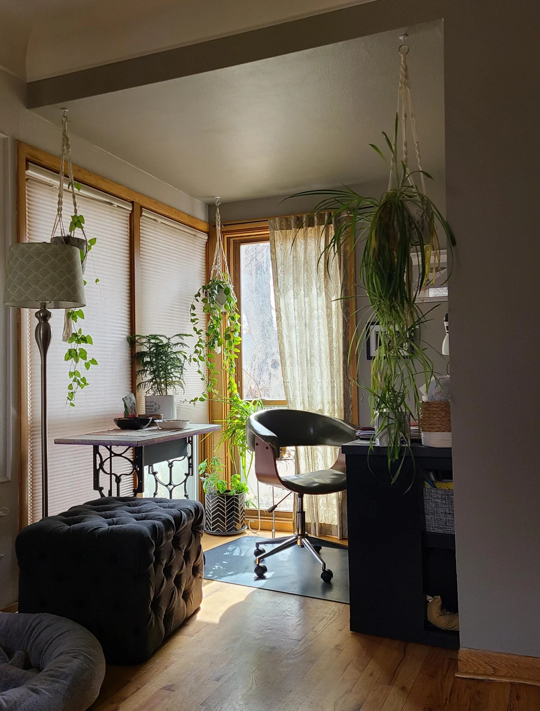 Finished my home office nook in time to retire | Scrolller