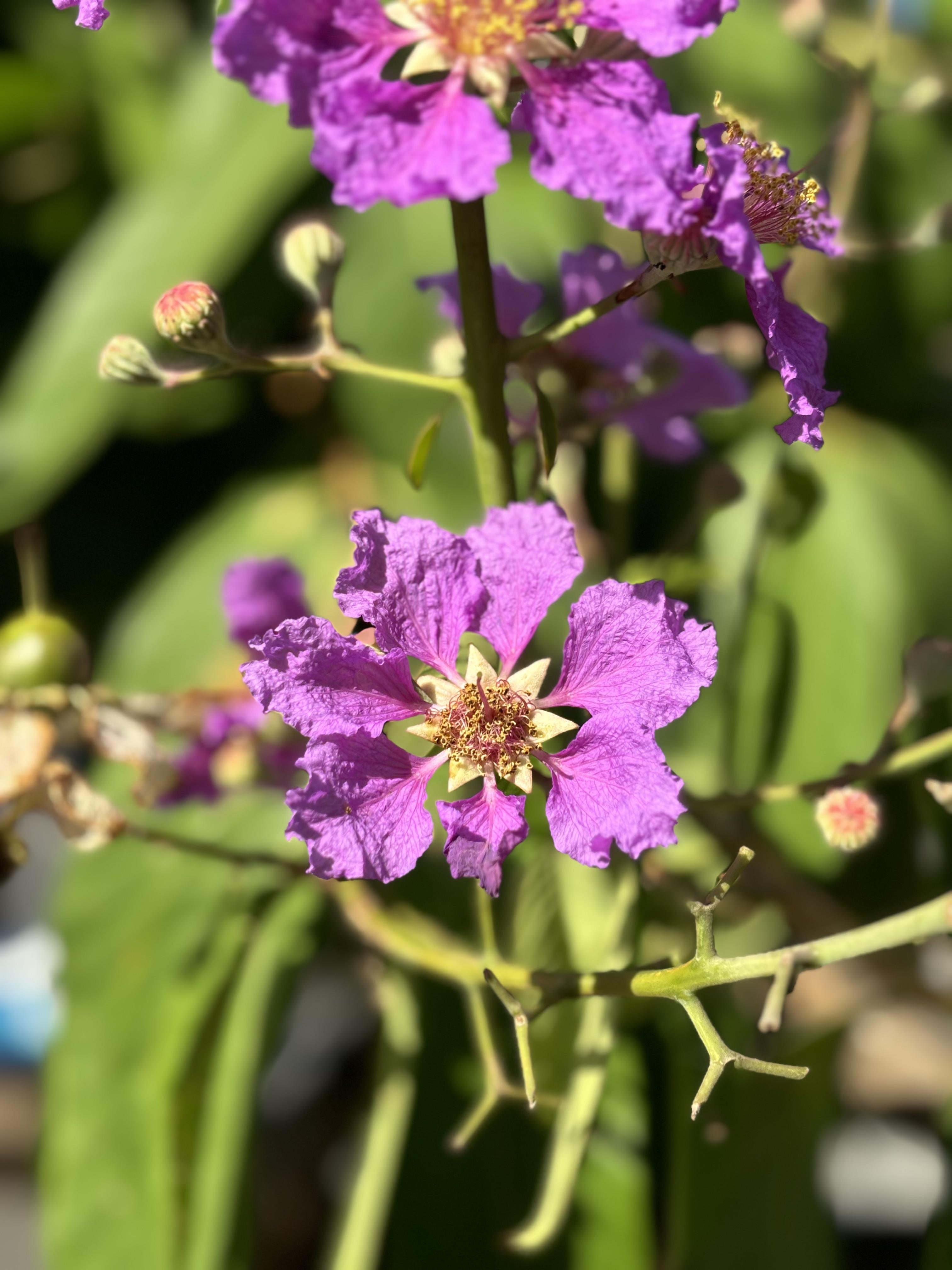 Some recent beauties | Scrolller