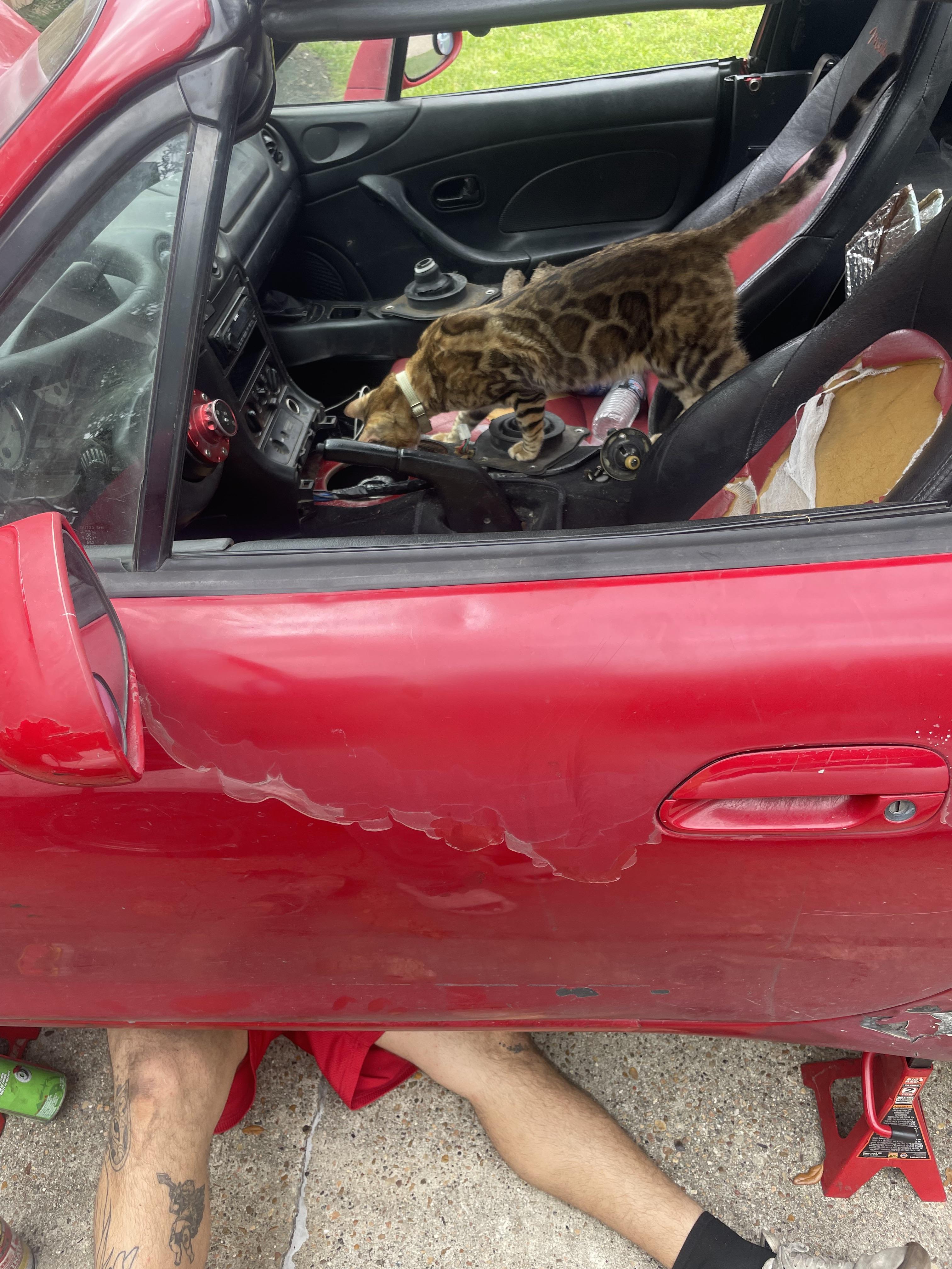 Pulling the clutch | Scrolller