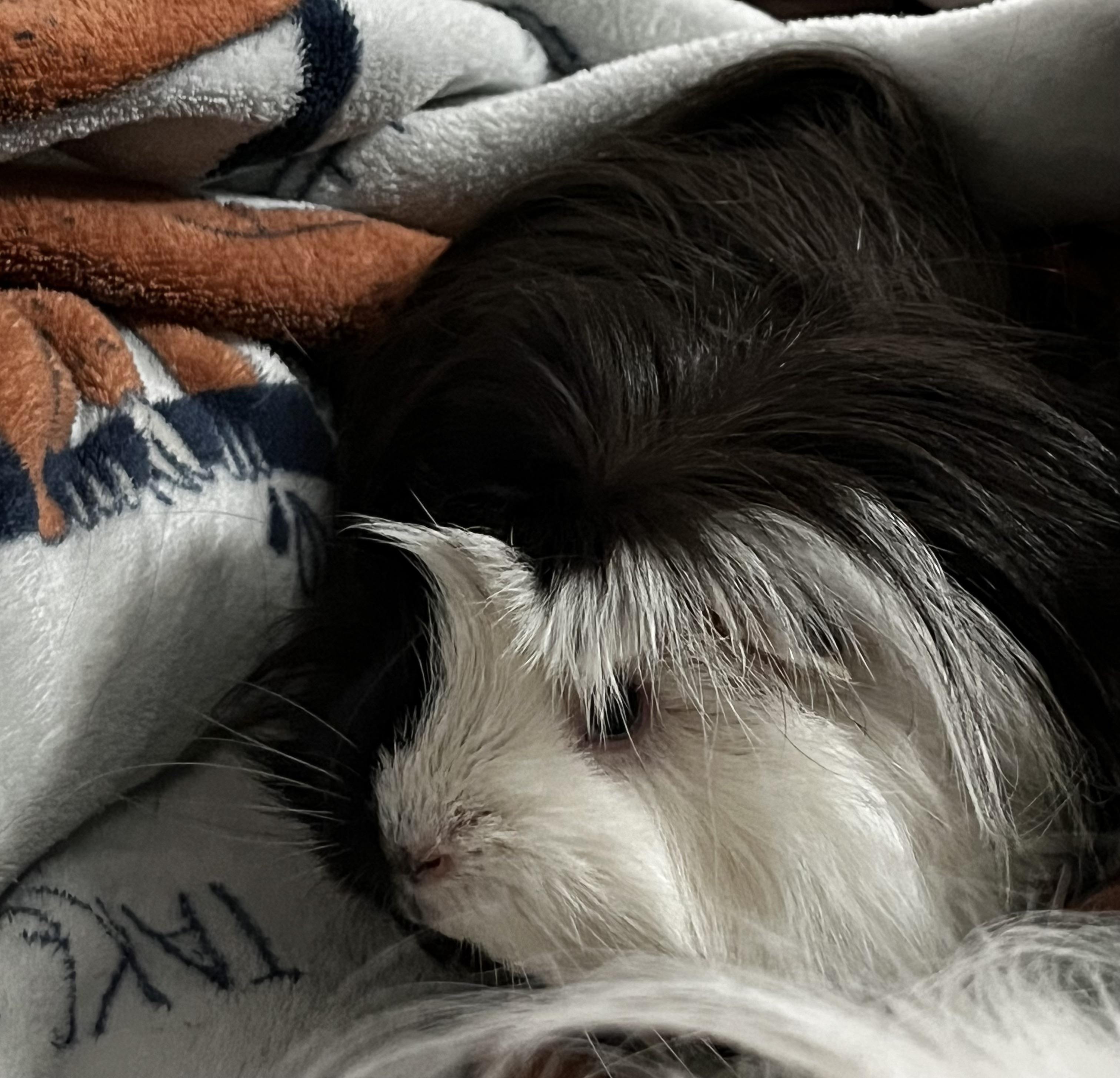 Yuki🩵🩵 | Scrolller