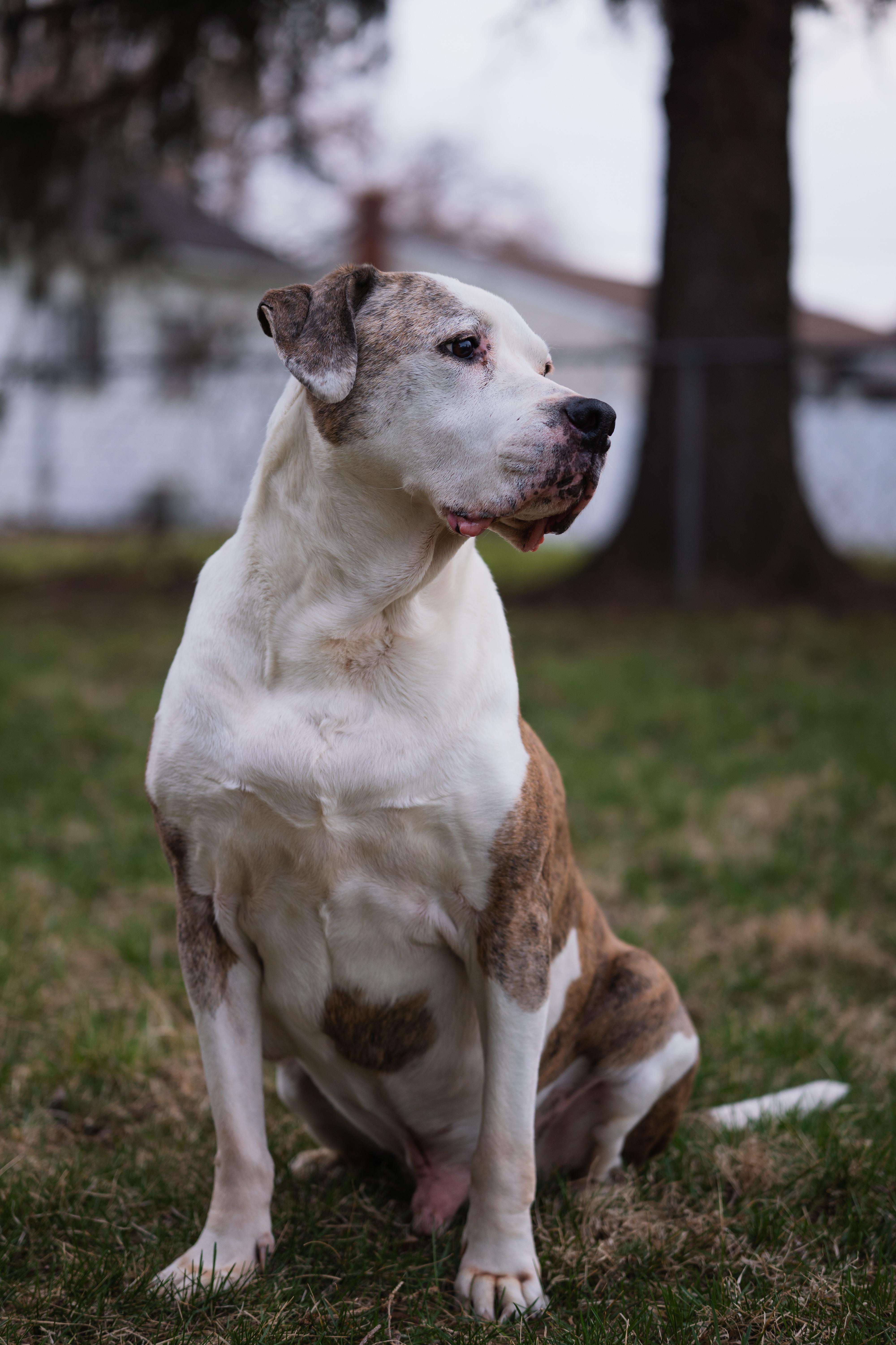 My 10 year old, Ace | Scrolller