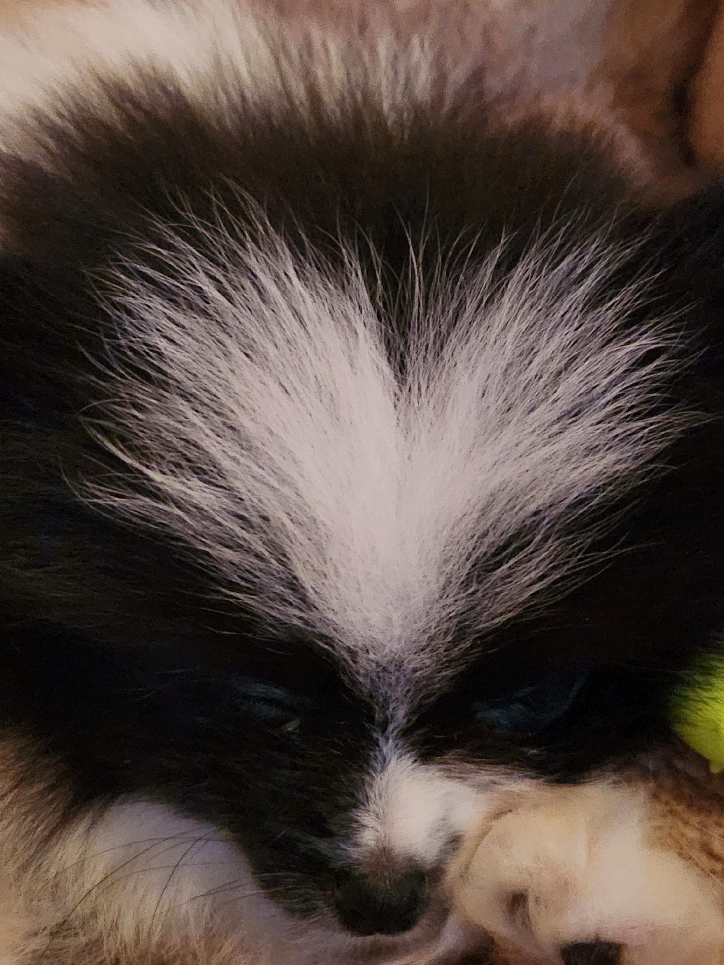 Meet Dwight | Scrolller