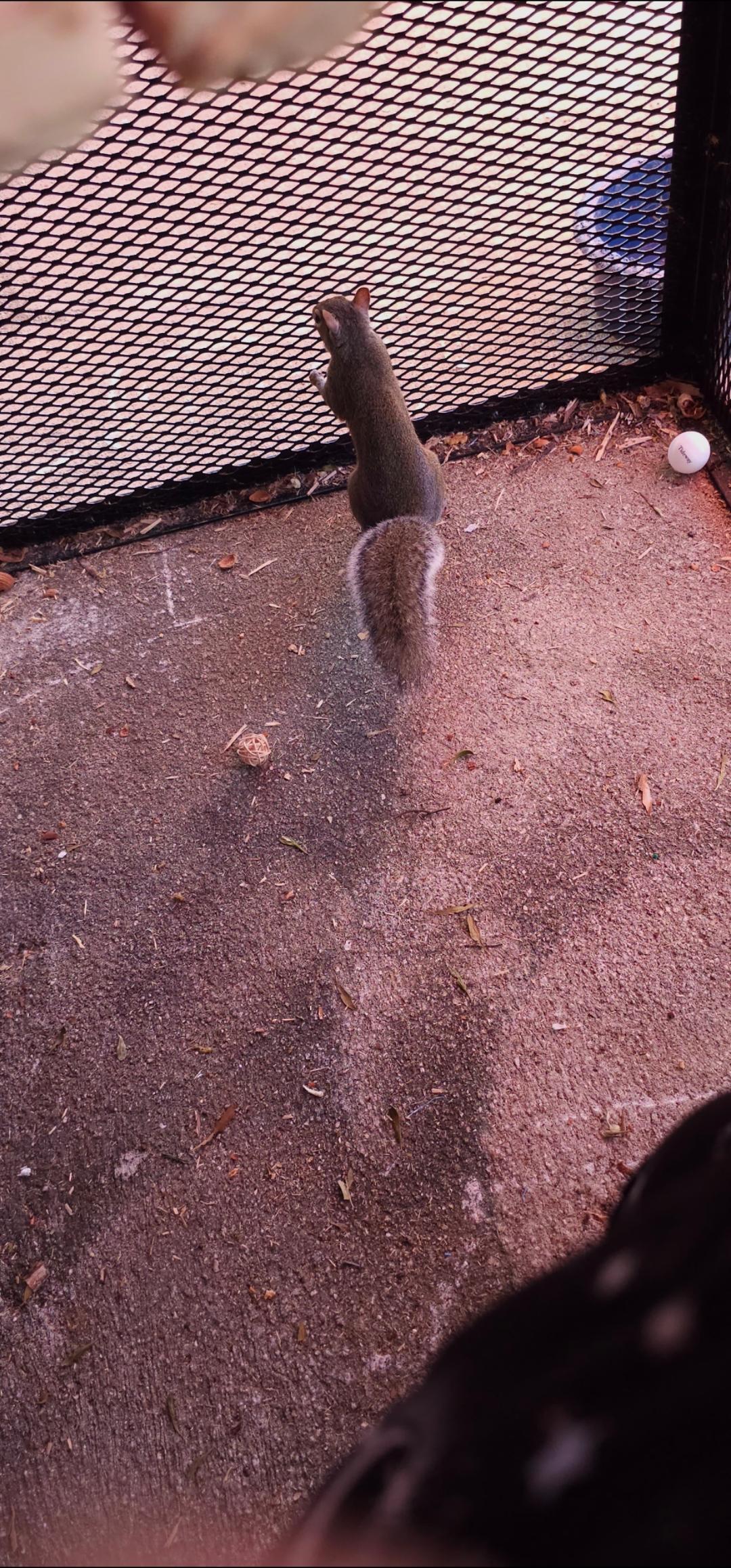 Peanut dump! | Scrolller