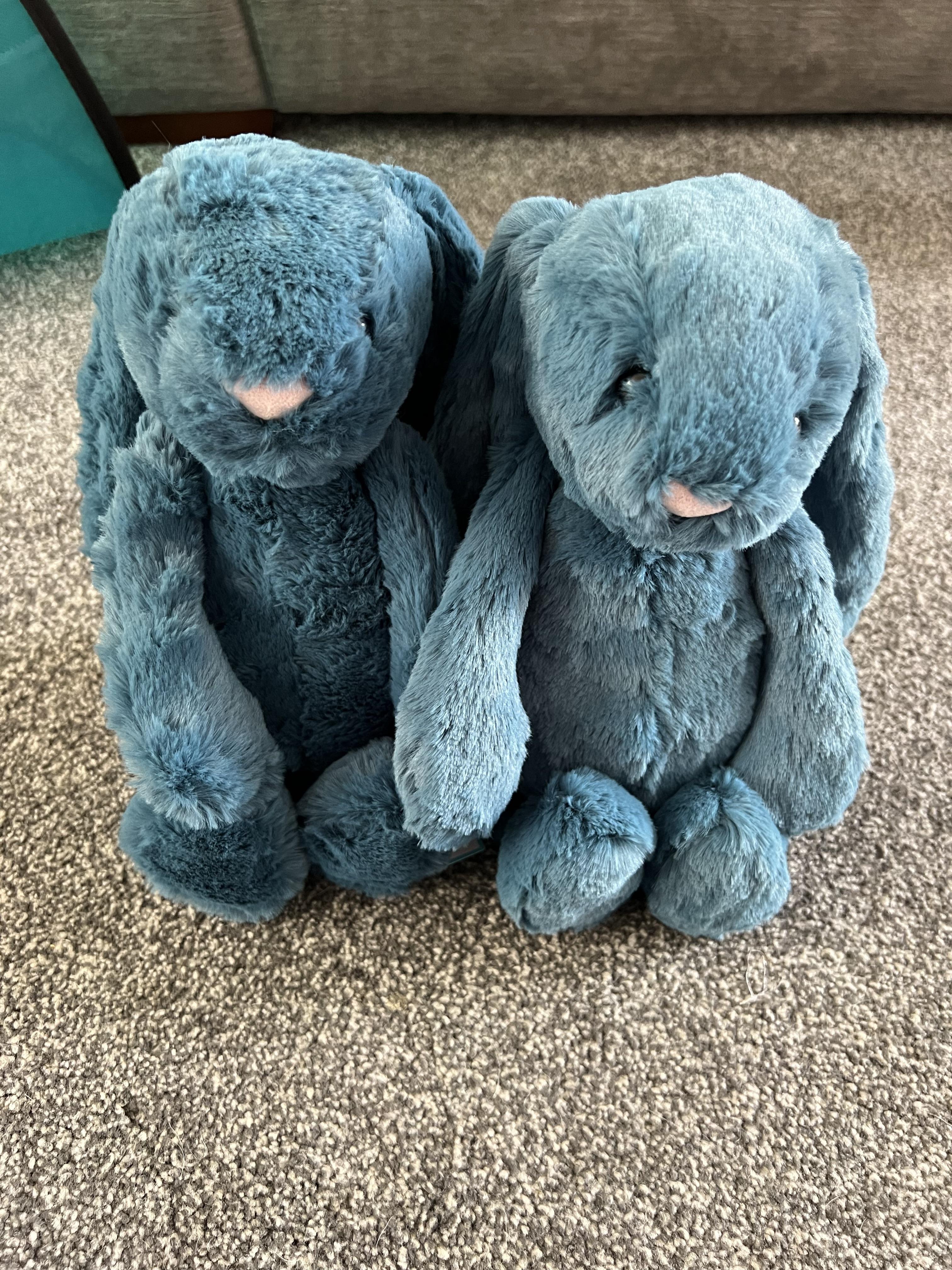 Replacement Mineral Blue Bunny | Scrolller