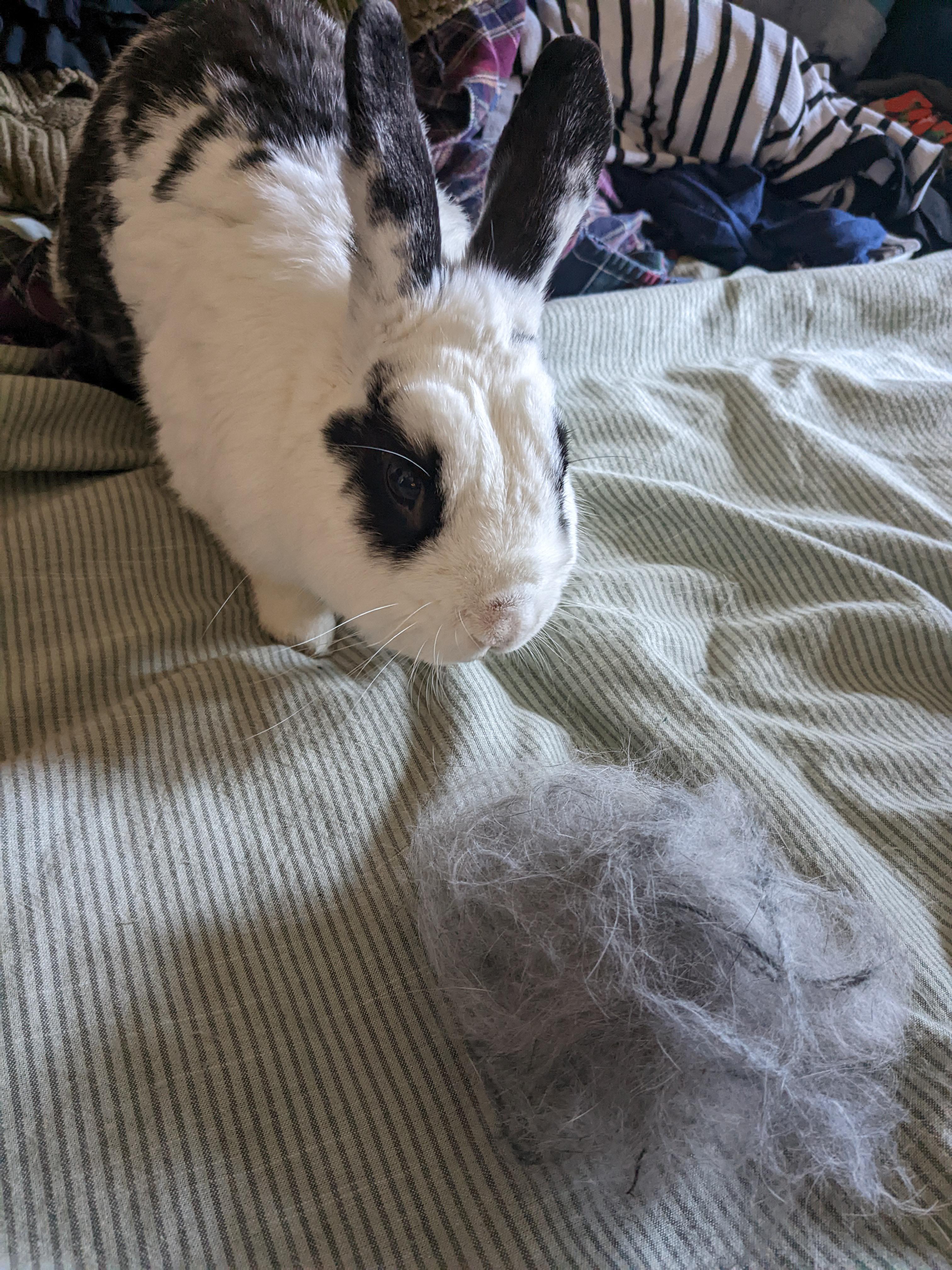 Best dollar tree find ever | Scrolller