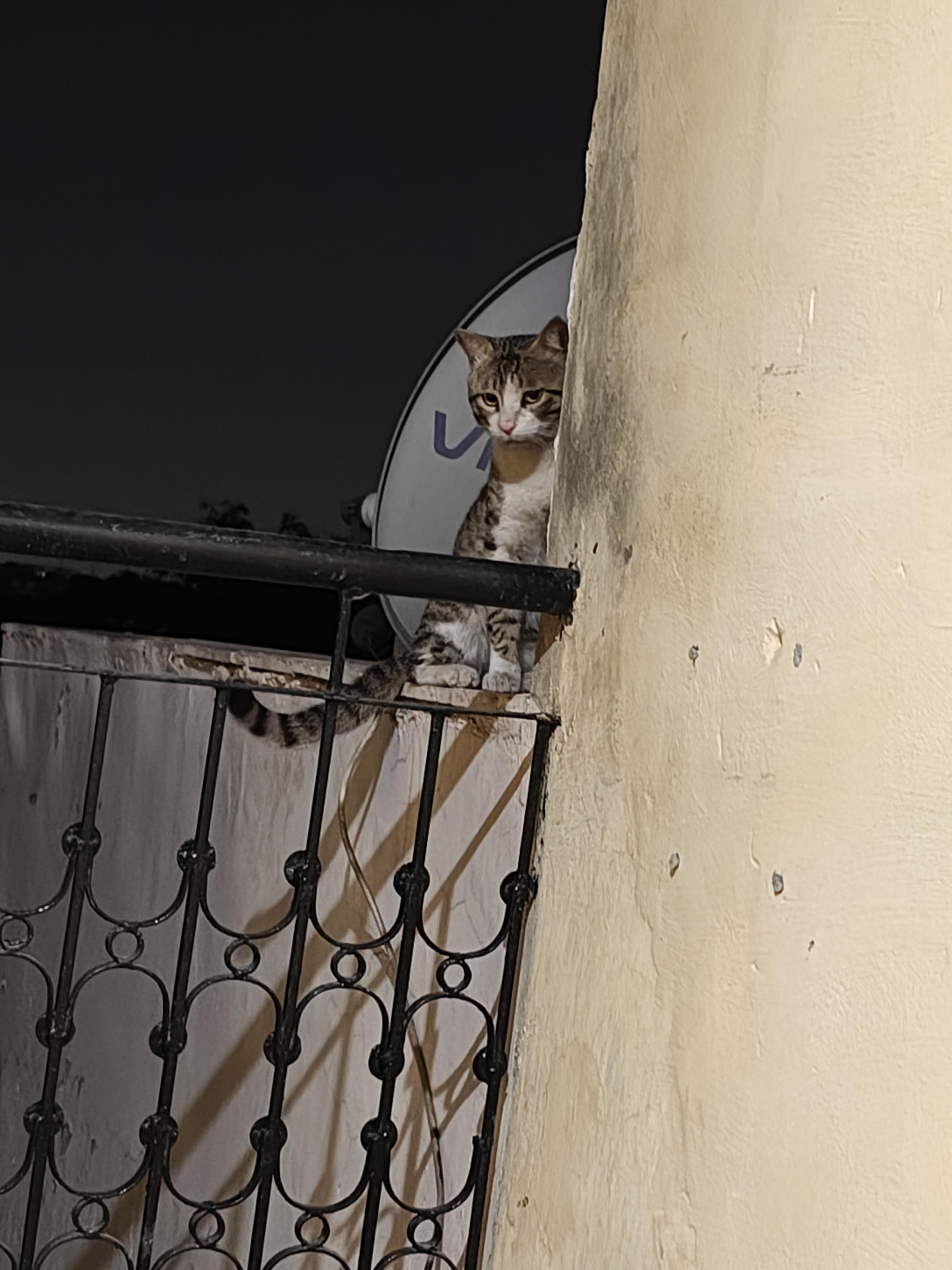 Master of Posing !!! | Scrolller