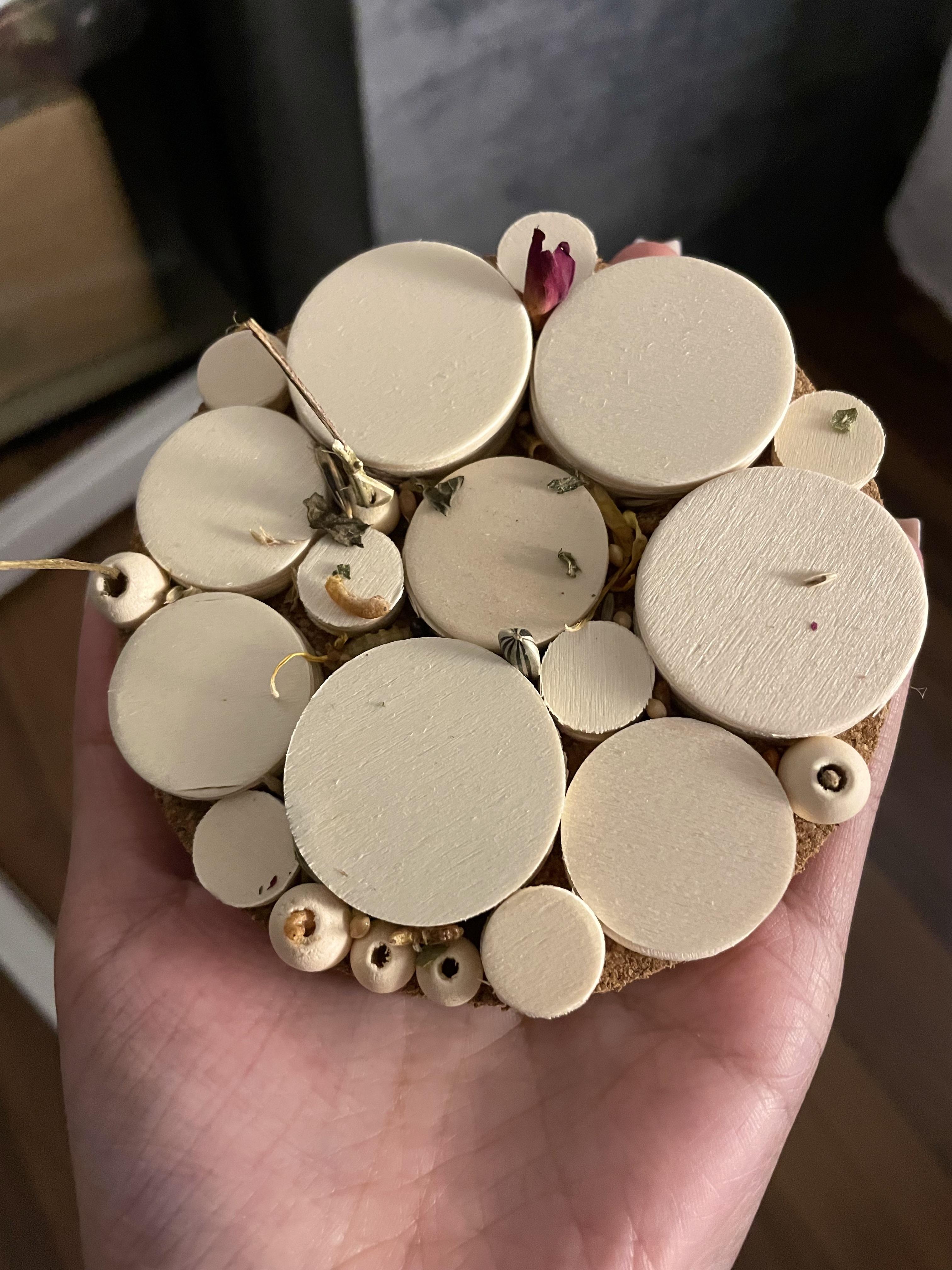 DIY Boredom Breaker | Scrolller