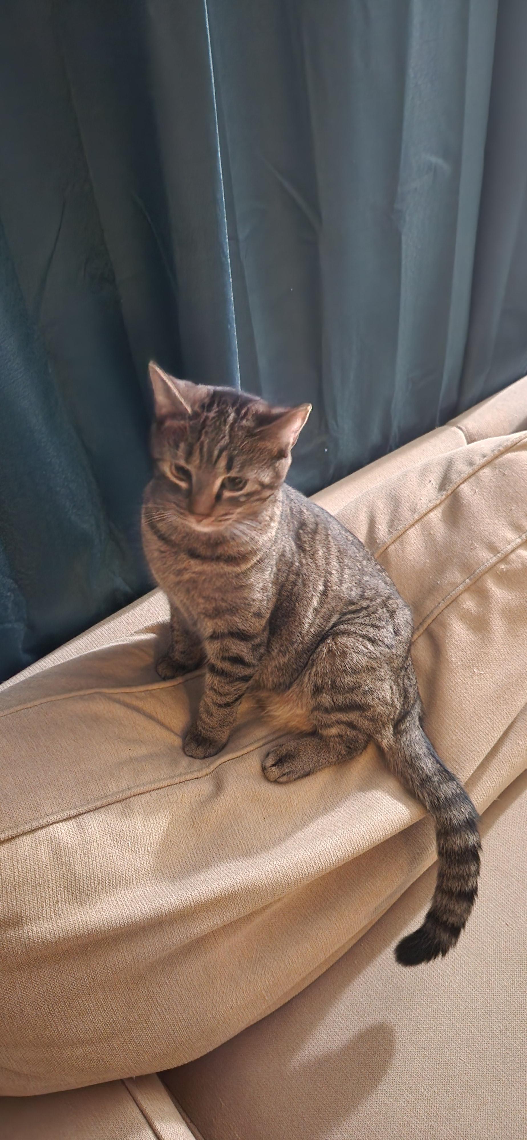 Presenting my SIC | Scrolller