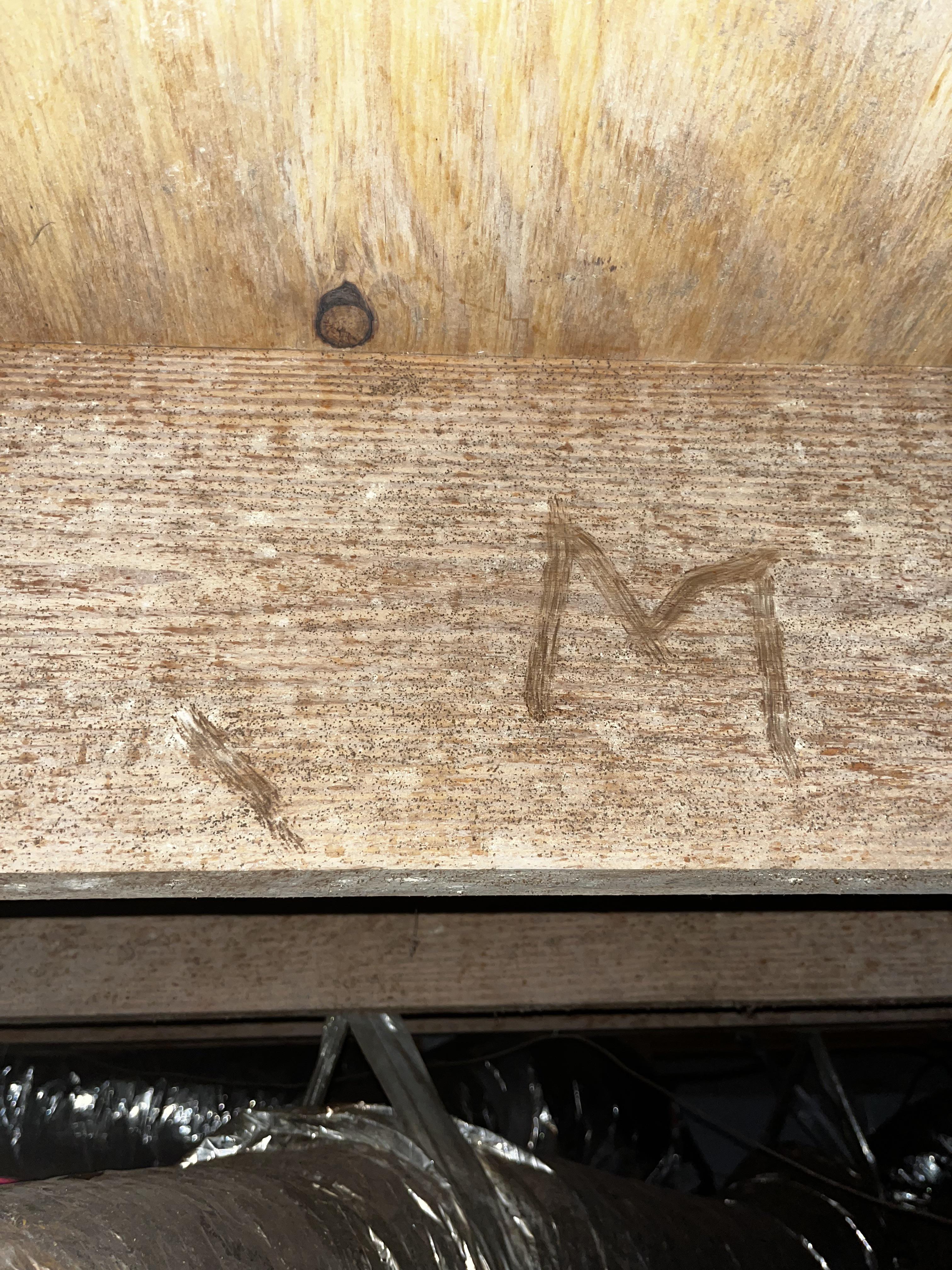 Is this mold dead or alive? | Scrolller