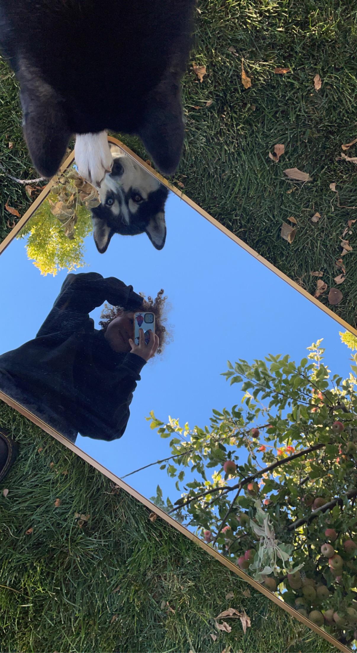 Fall 🍂 Scrolller