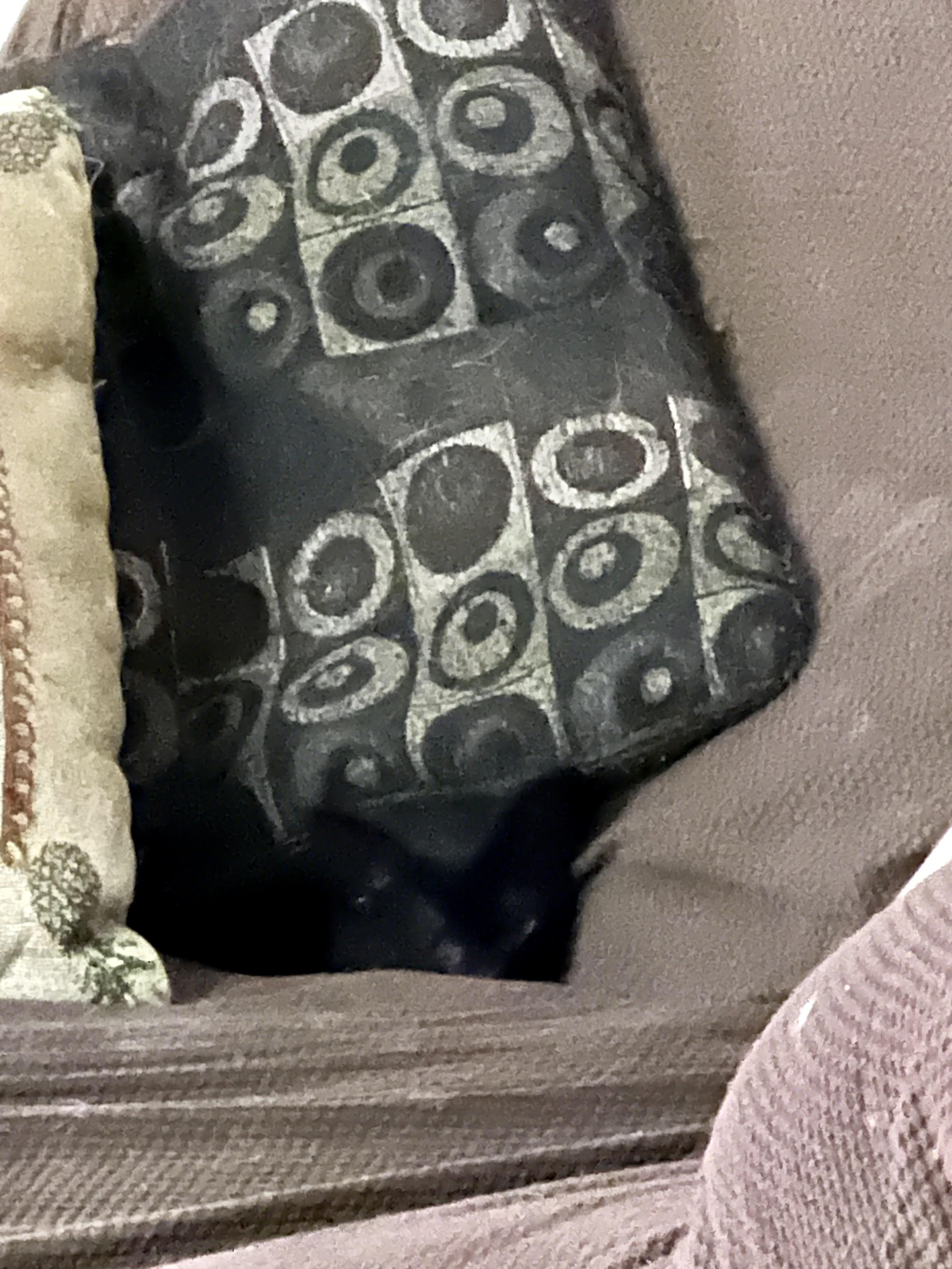 Gus playing hideaway | Scrolller