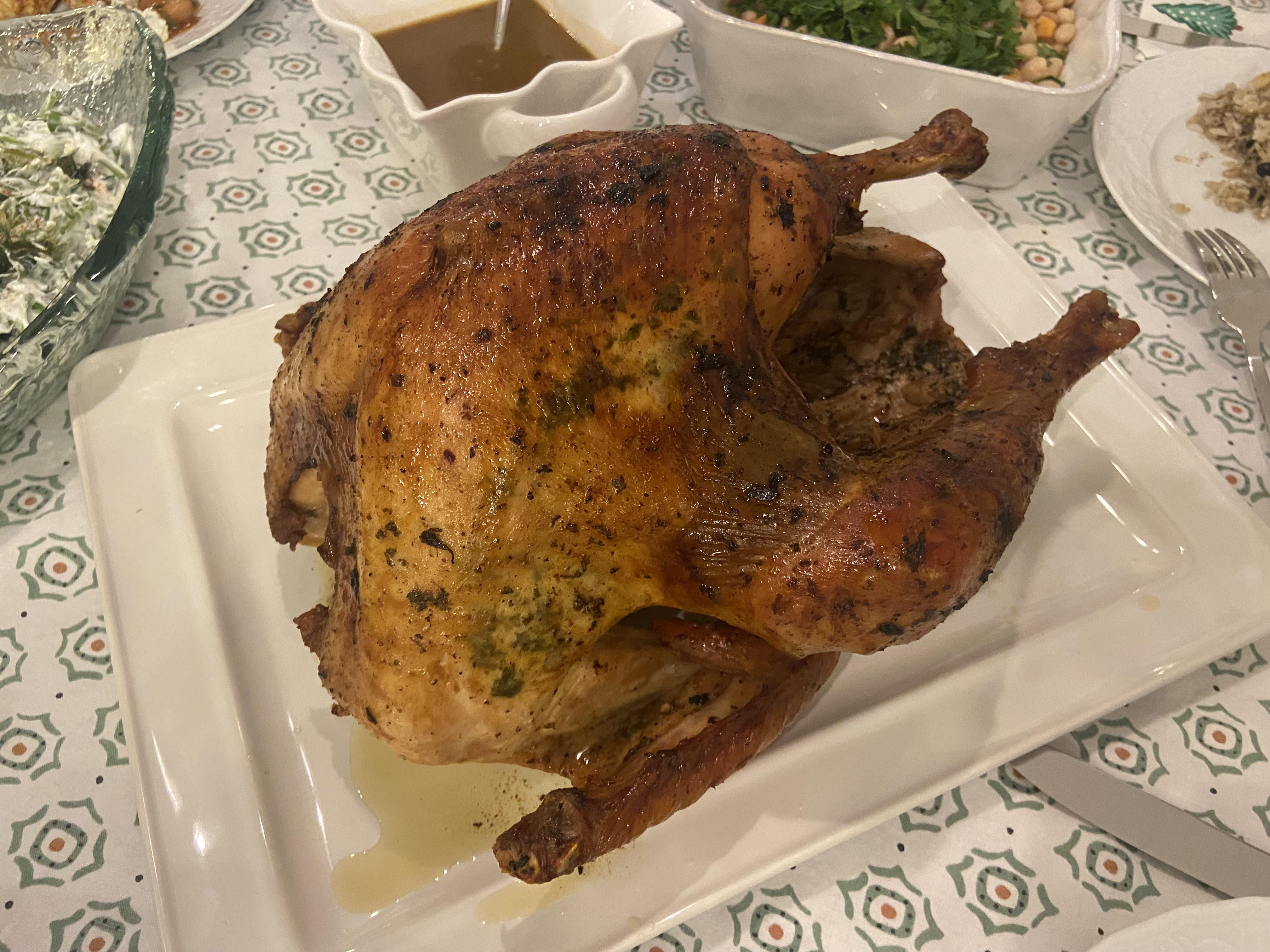 [homemade] turkey | Scrolller