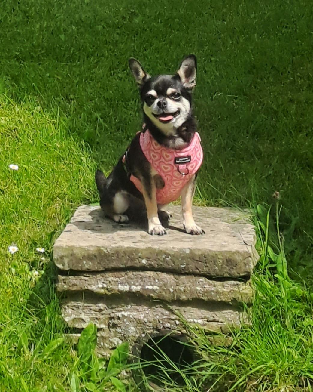 Her face makes me laugh so much! | Scrolller