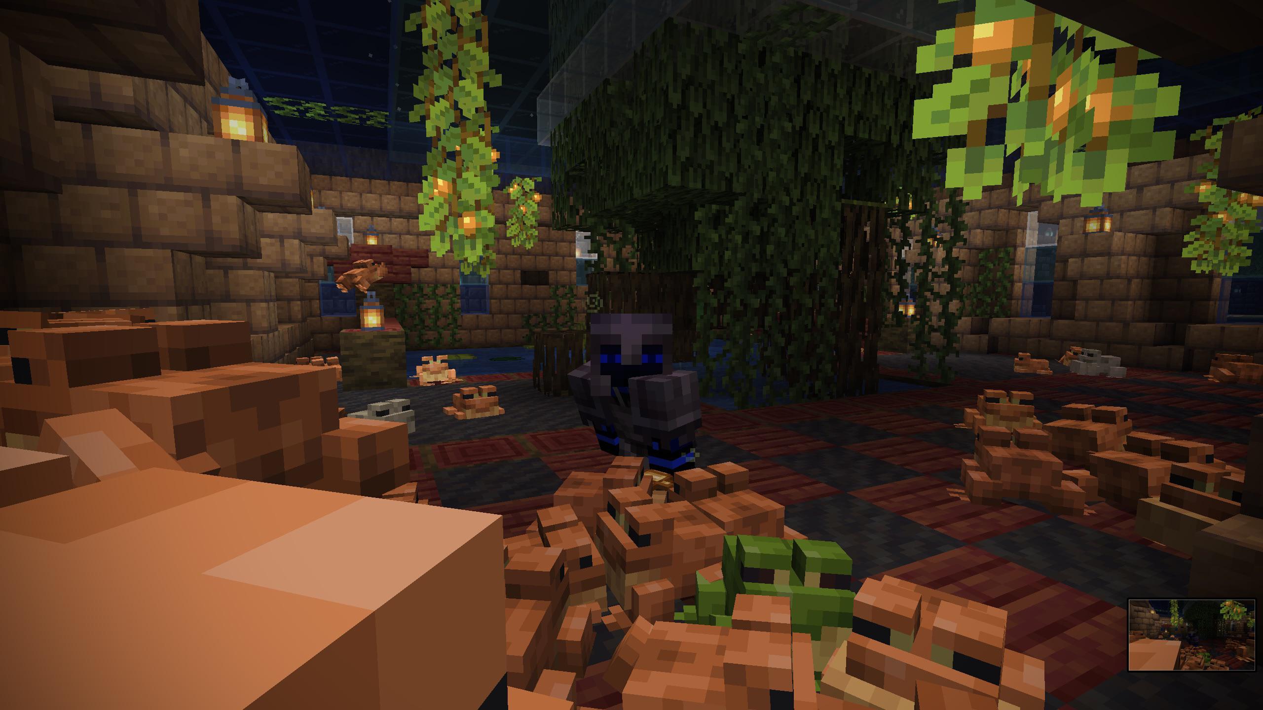 My Frog Sanctuary… 🐸 | Scrolller