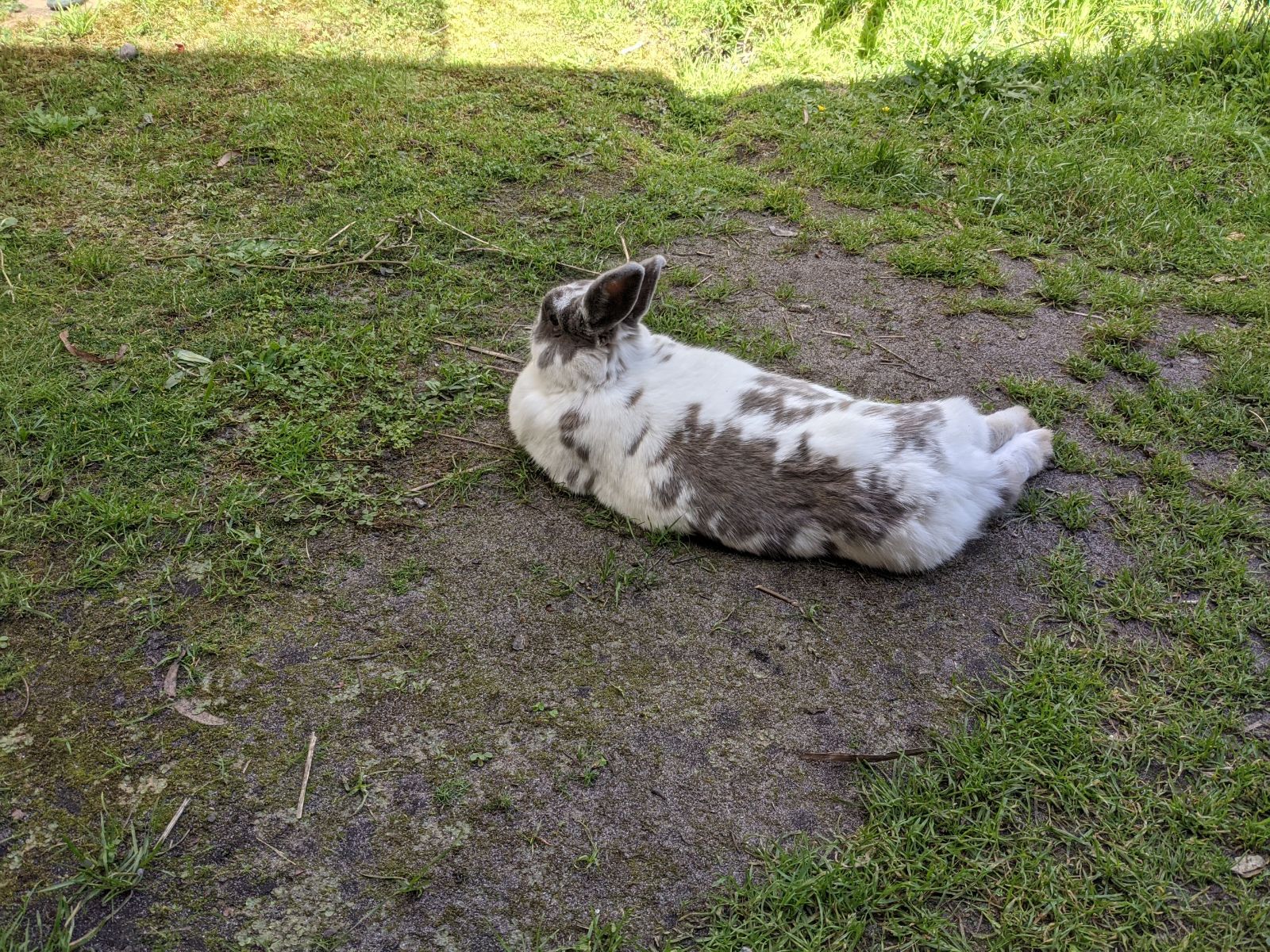 360° sploot | Scrolller