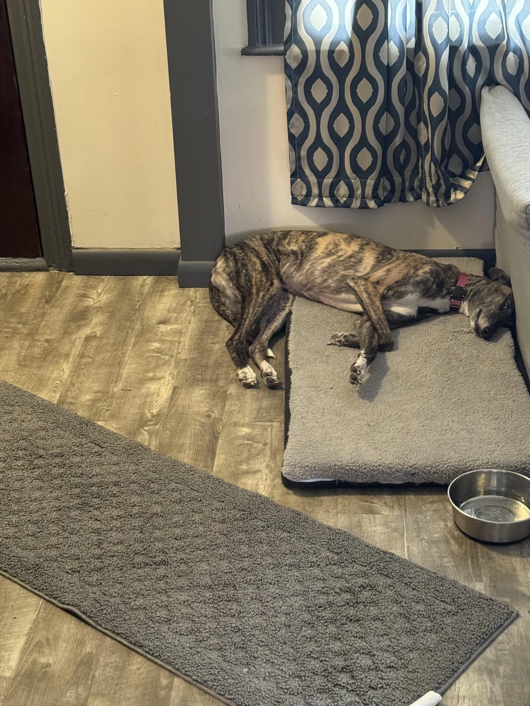 Bed fail | Scrolller