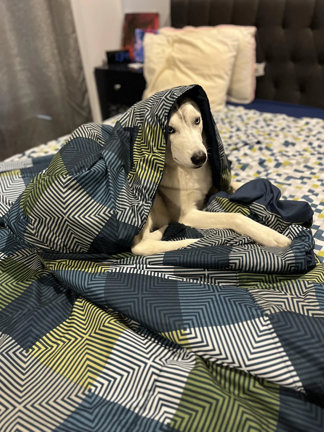 Like he’s saying, “leave me alone, I’m tired” | Scrolller