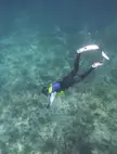 Me freediving in key west Florida | Scrolller