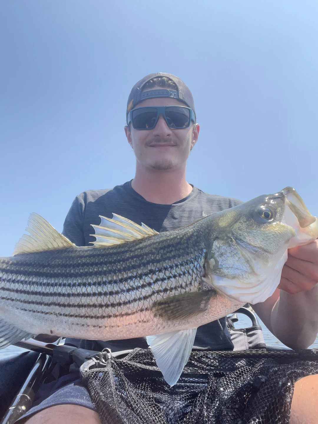 More Striper Action Scrolller